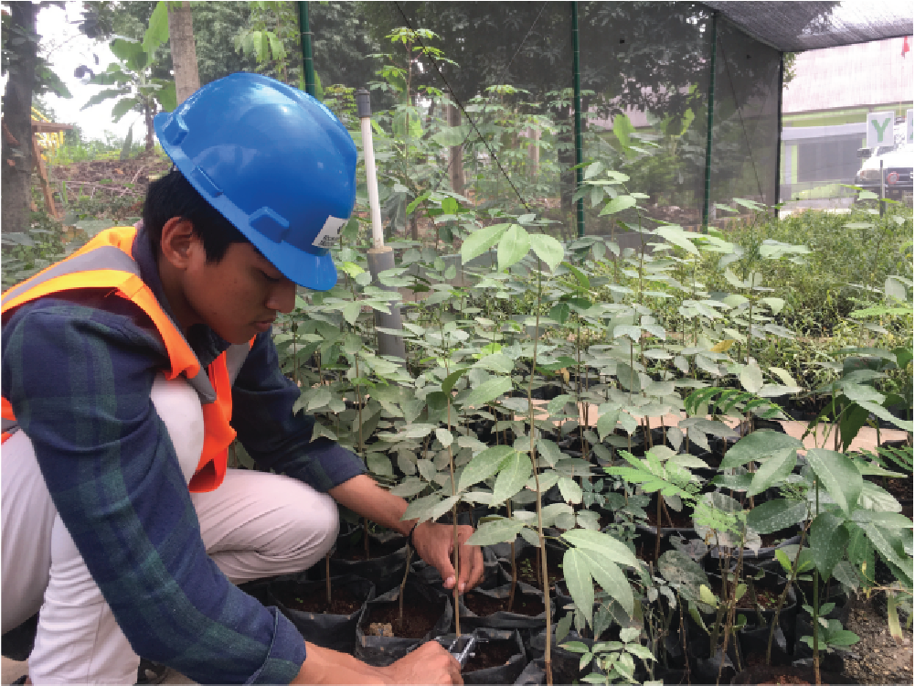 Nursery SBI Narogong